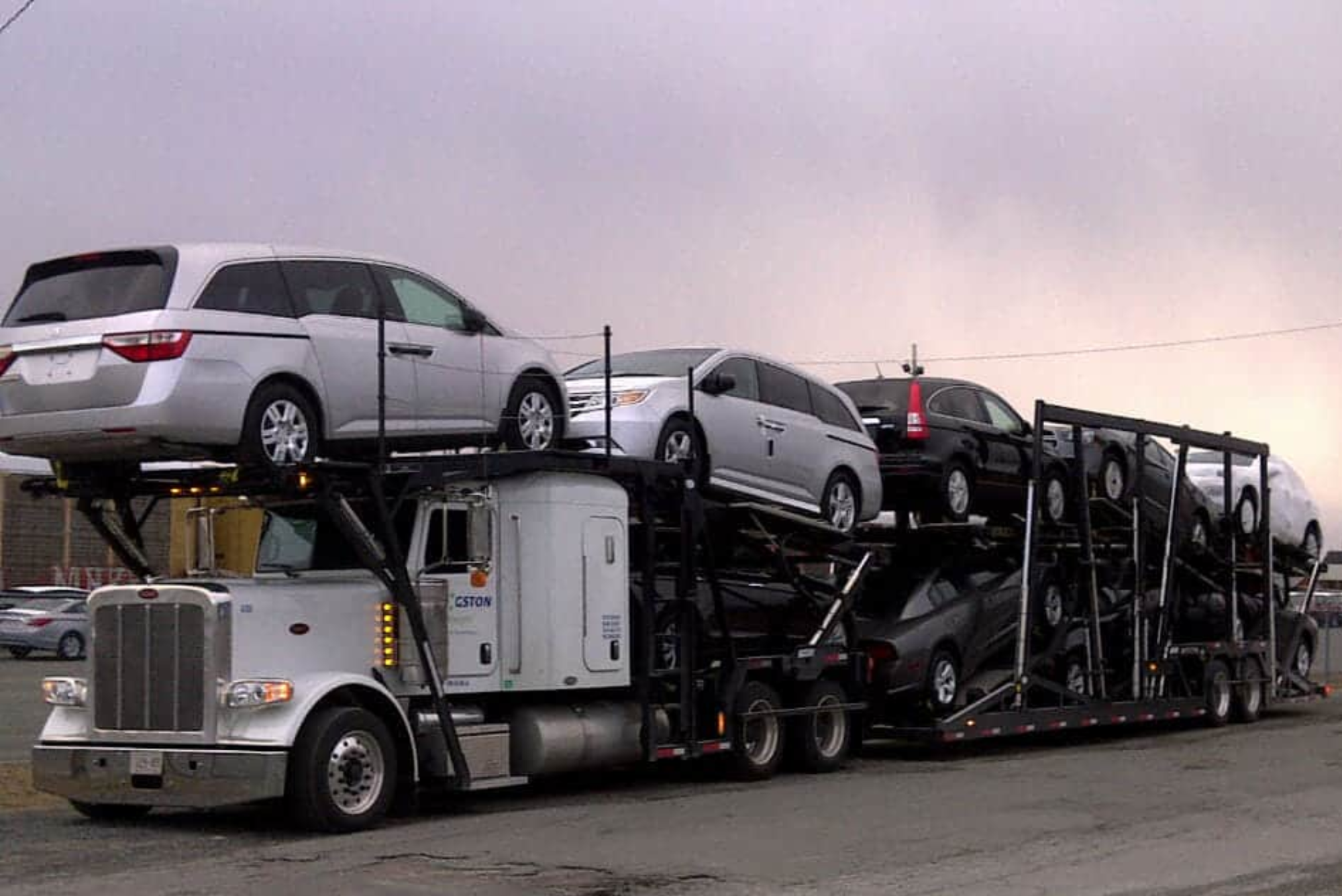 Exquisite Protection and Care: Zebra Transportation's Enclosed Car ...